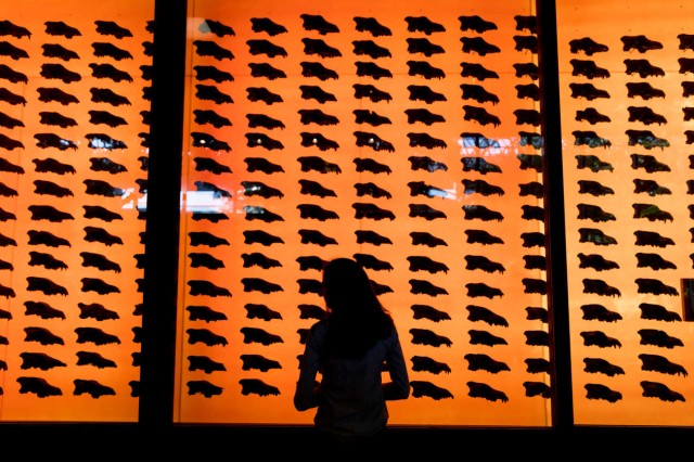 Museum Exhibitions | La Brea Tar Pits