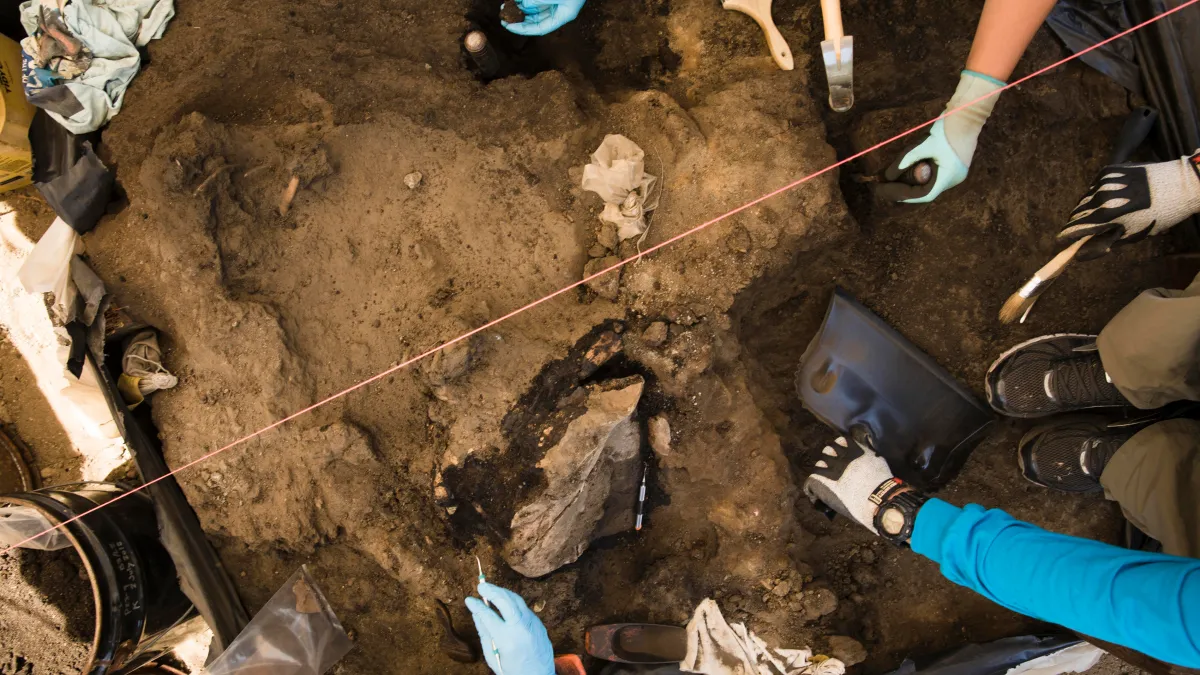 Tar Pits Excavation Grid | La Brea Tar Pits
