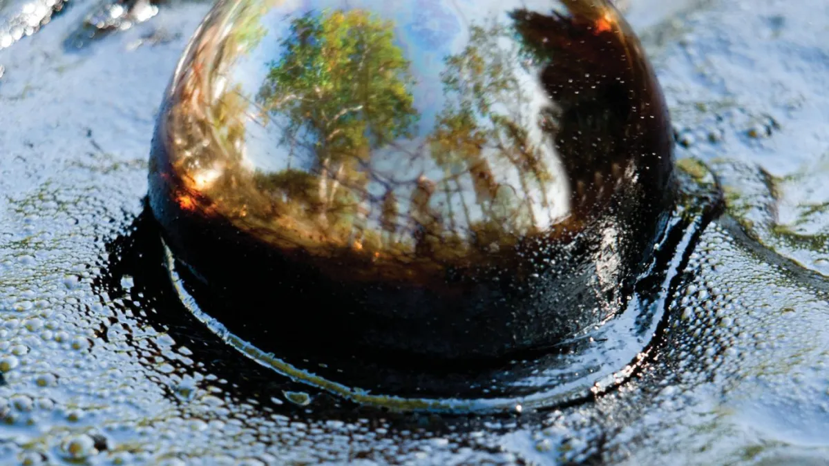 Myths, Media & Science of the Tar Pits | La Brea Tar Pits