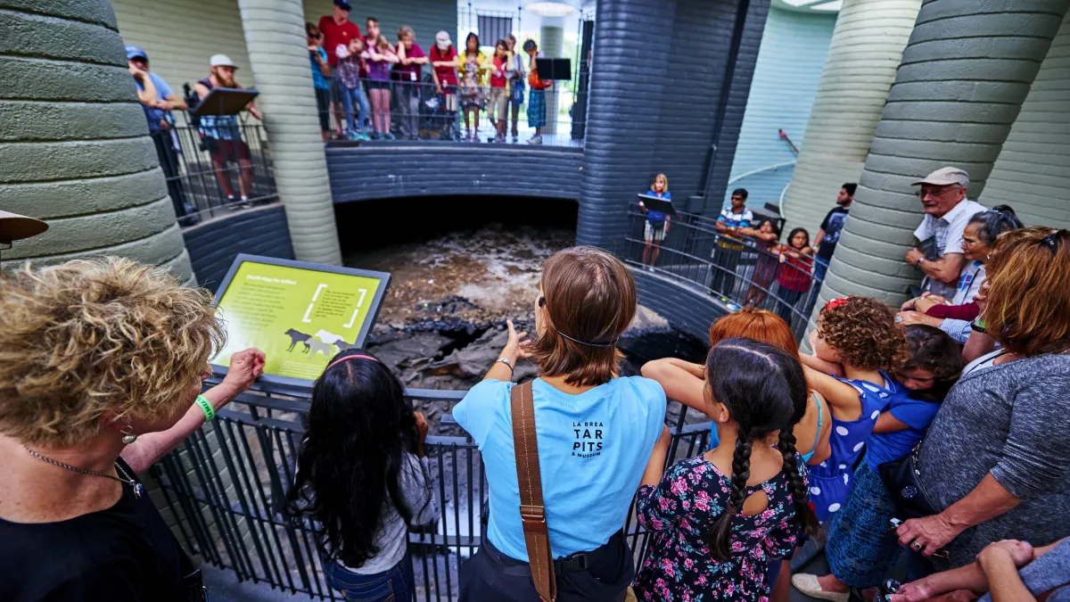 Observation Pit | La Brea Tar Pits