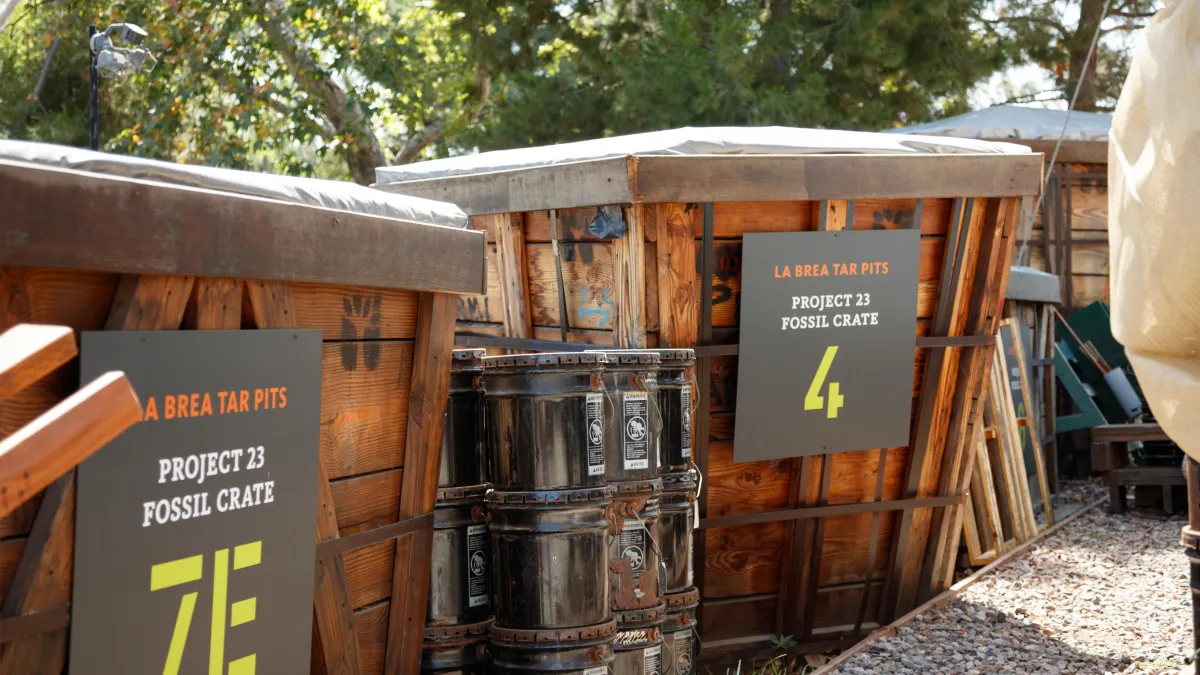 Project 23 | La Brea Tar Pits