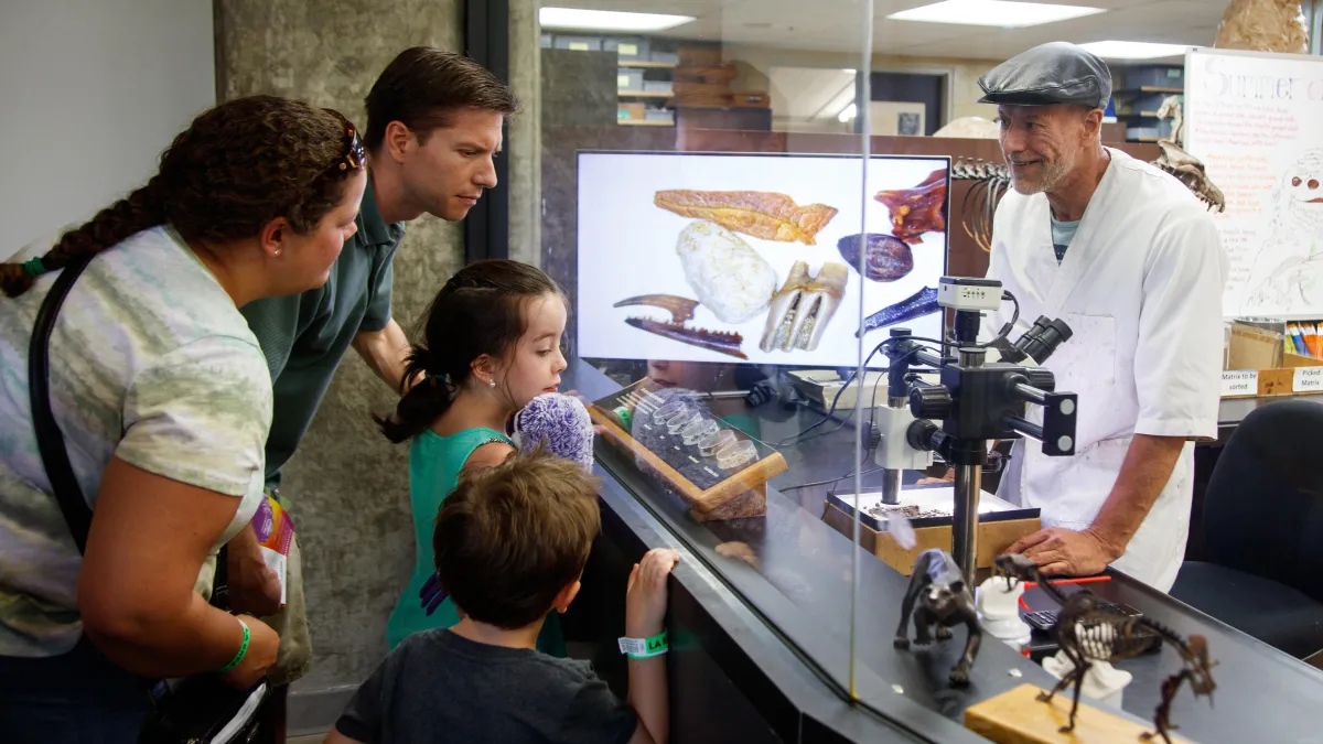 Inside the Fossil Lab | La Brea Tar Pits