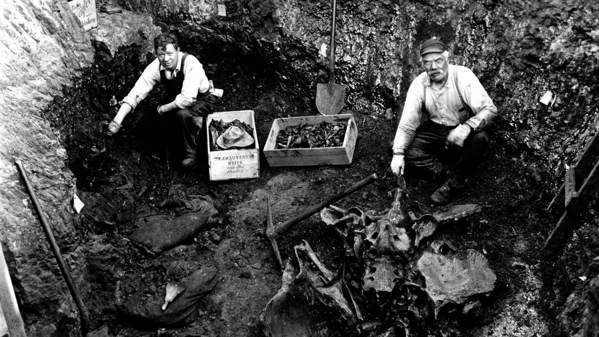 Early Excavations | La Brea Tar Pits