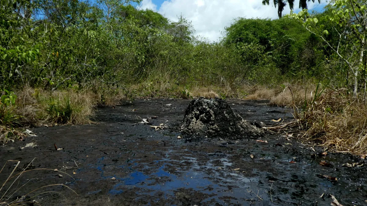 Tar Pits of the World | La Brea Tar Pits