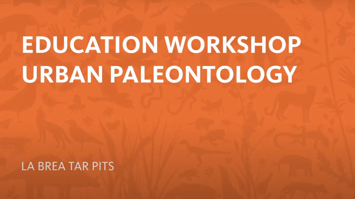 Educator Workshop Urban Paleontology La Brea Tar Pits