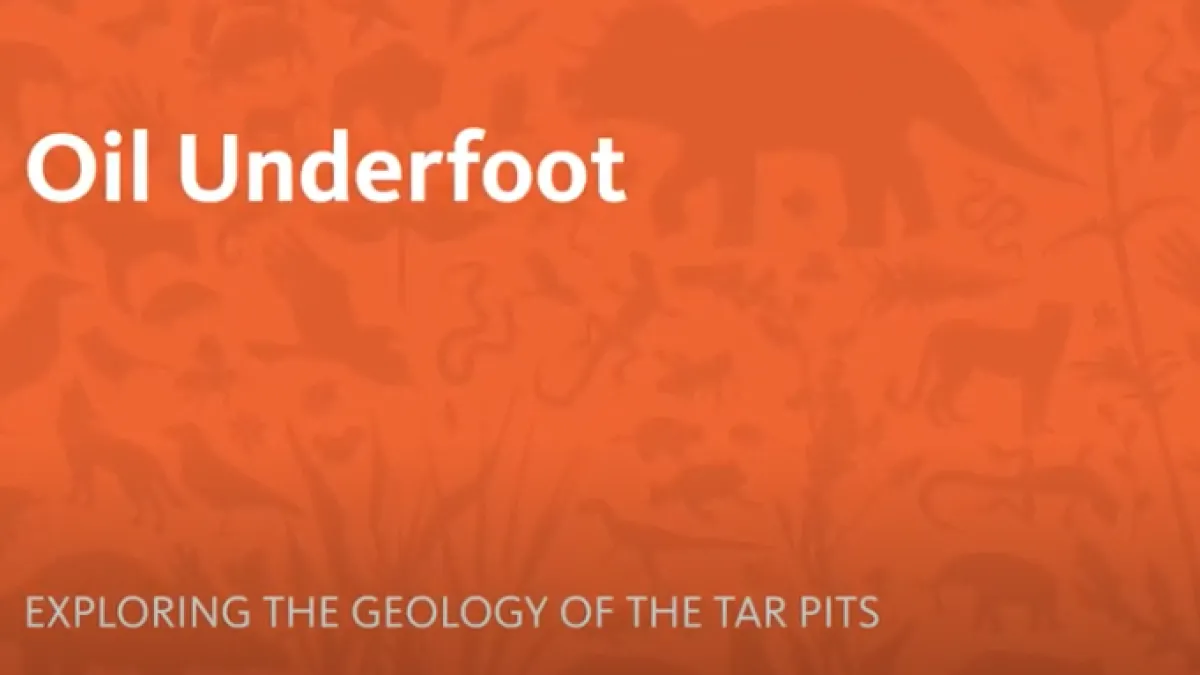 Oil Underfoot: Exploring the Geology of the Tar Pits | La Brea Tar Pits
