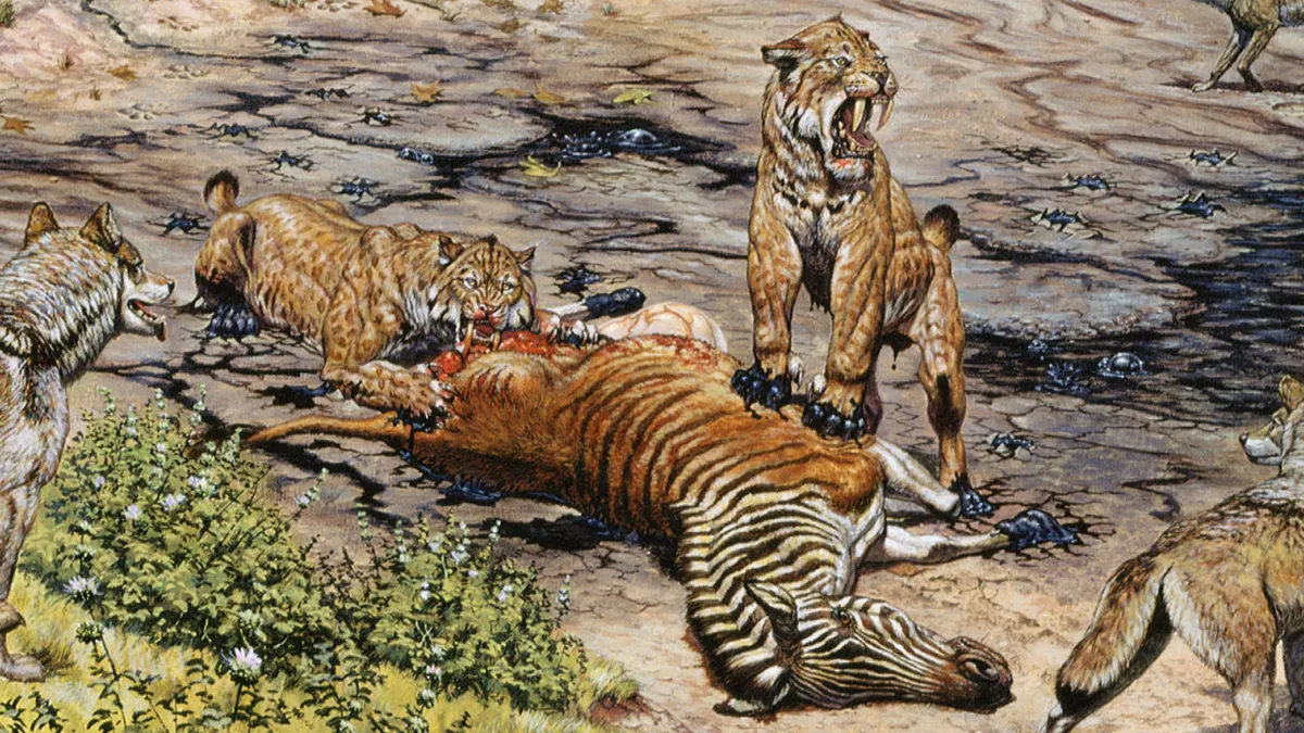 Follow the Fossil: Unearthing Ice Age Mysteries | La Brea Tar Pits