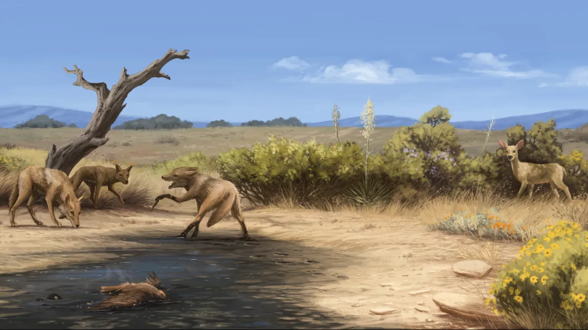 Extinction and Survival at La Brea Tar Pits | La Brea Tar Pits