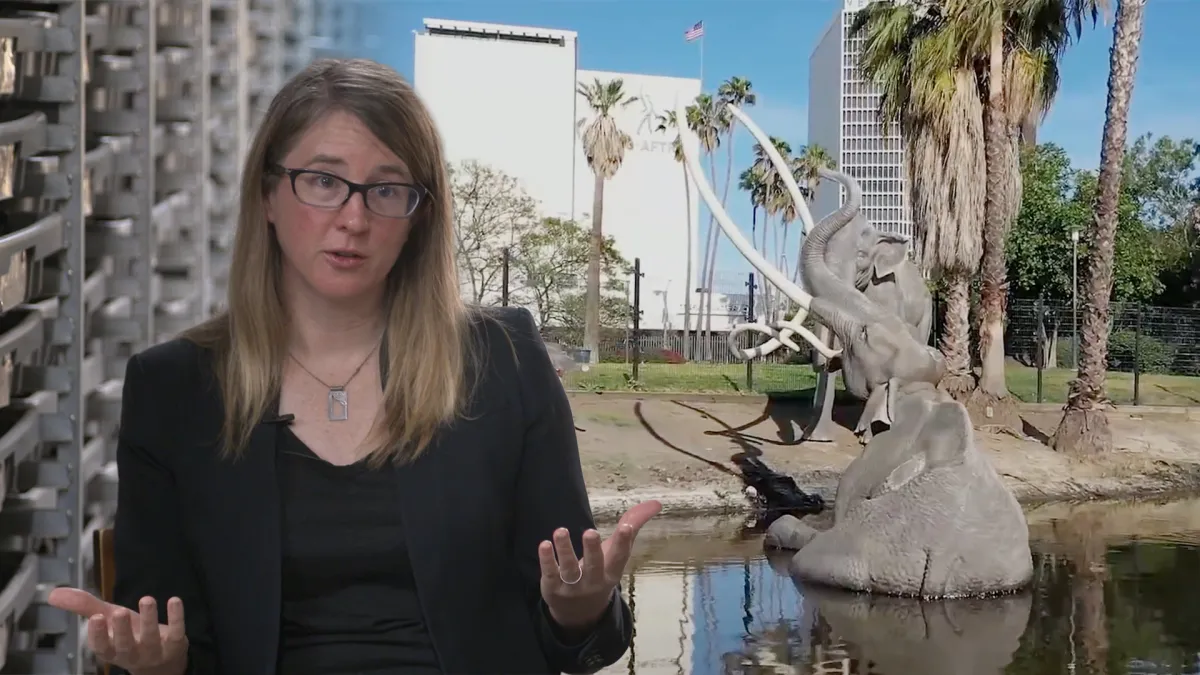 What La Brea Tar Pits Fossils Reveal La Brea Tar Pits