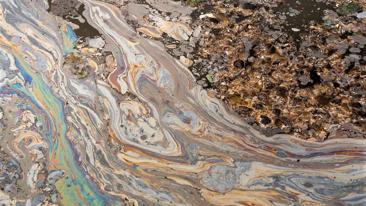 Art, Asphalt, and Activism Educator Workshop | La Brea Tar Pits