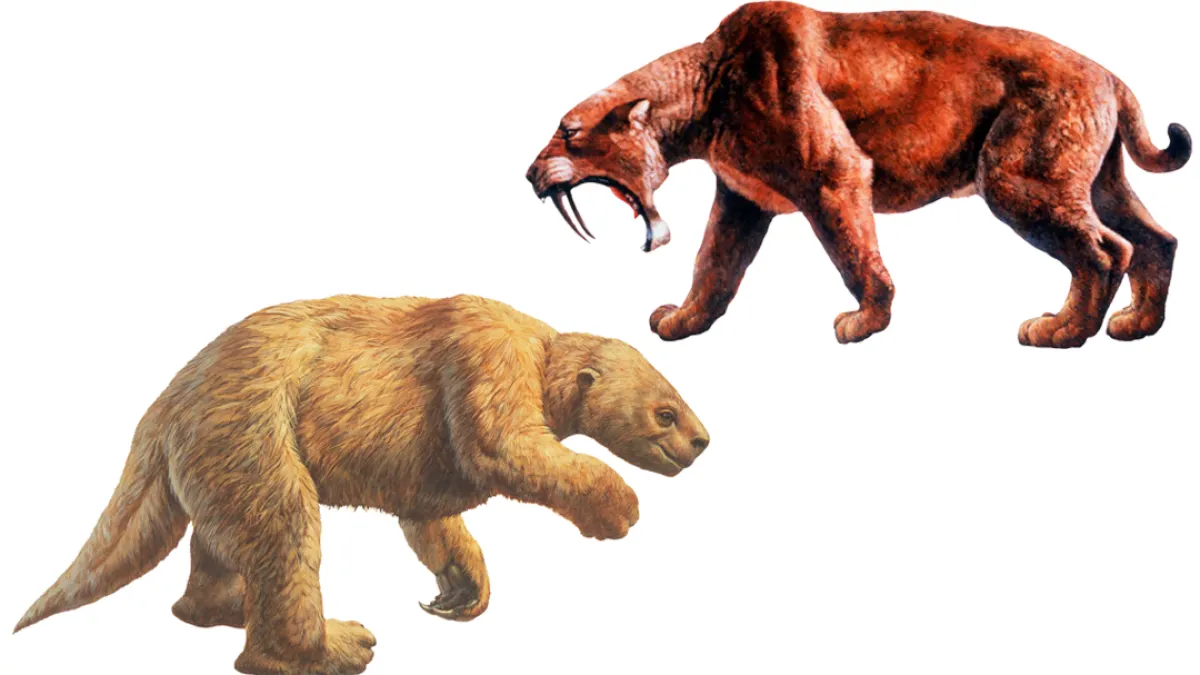 Pick Your Summer! Chill or Fierce? Sloth or Saber-toothed? | La Brea ...