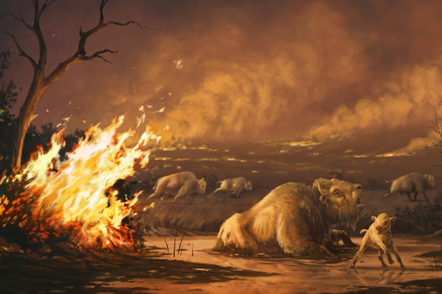 Playing With Fire: Extinction and Survival at La Brea Tar Pits | La ...